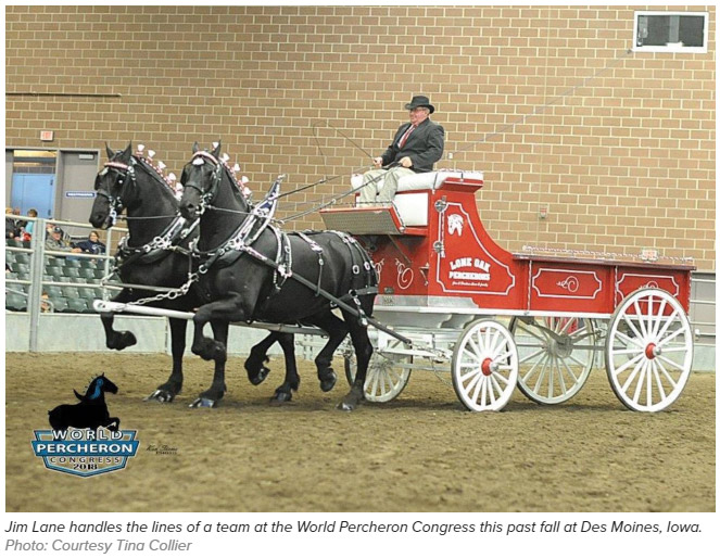 NAERIC - North American Equine Ranching Council Foals PMU Foals ...