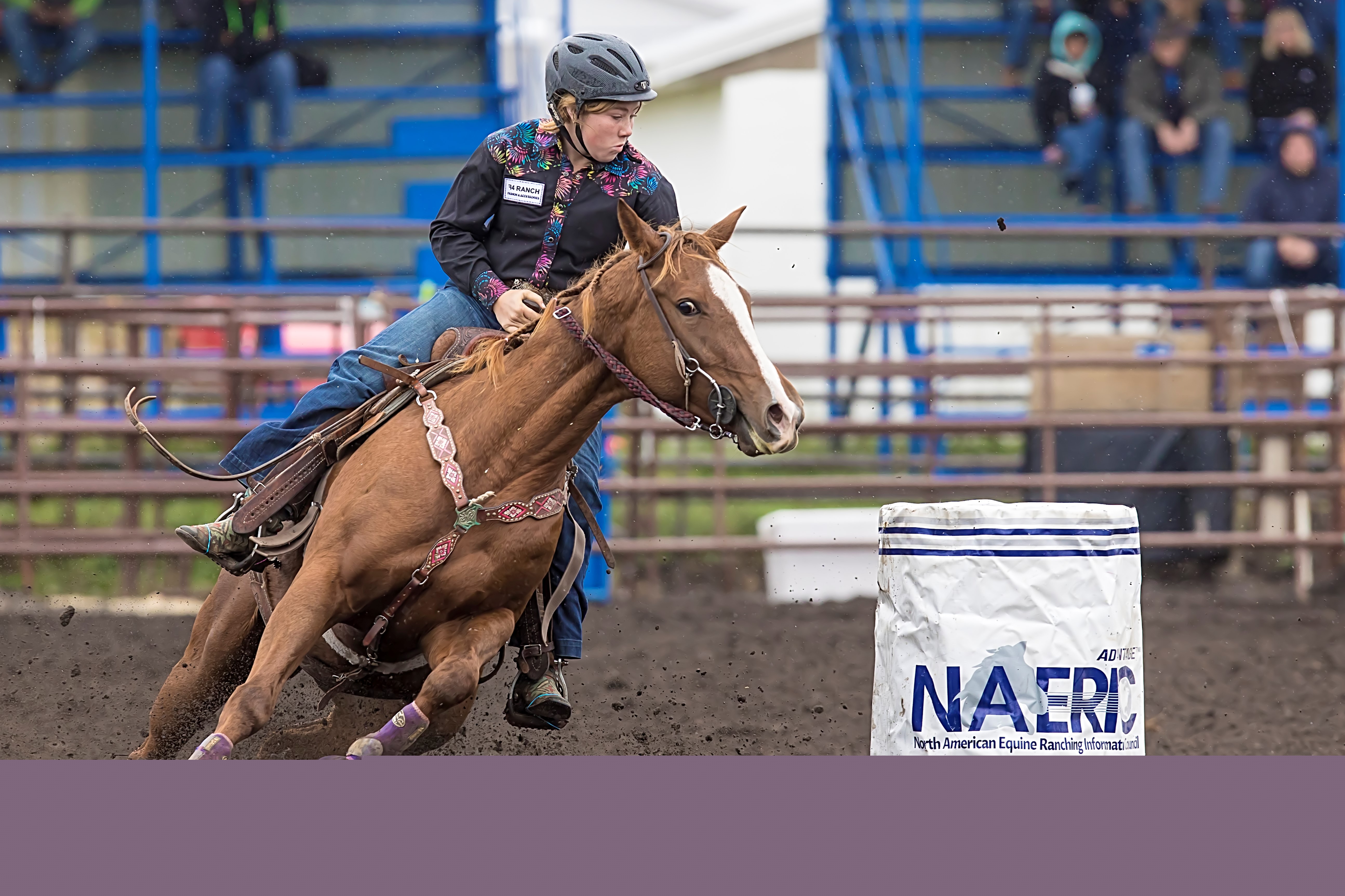 NAERIC - North American Equine Ranching Council Foals PMU Foals ...