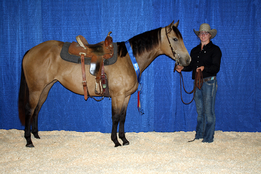 NAERIC - North American Equine Ranching Council Foals PMU Foals ...